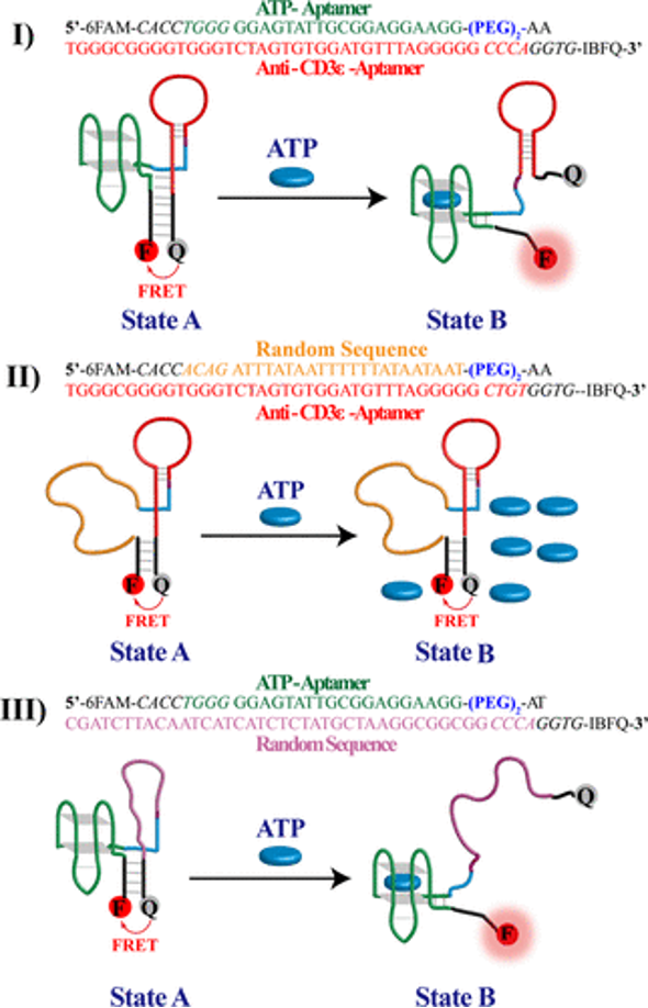 Research – Mallikaratchy Lab