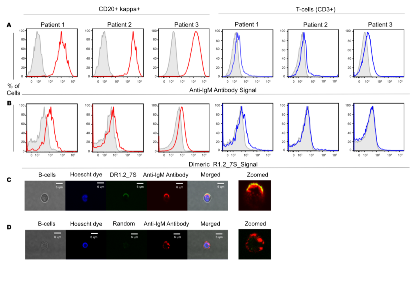 Research – Mallikaratchy Lab
